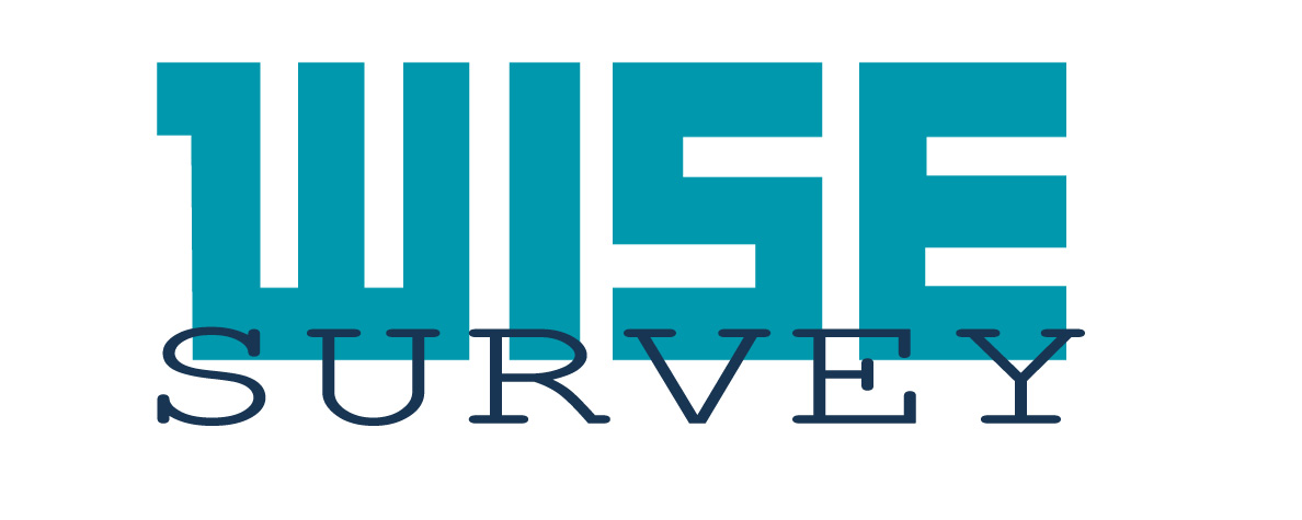 WISE Survey – WISE Forum